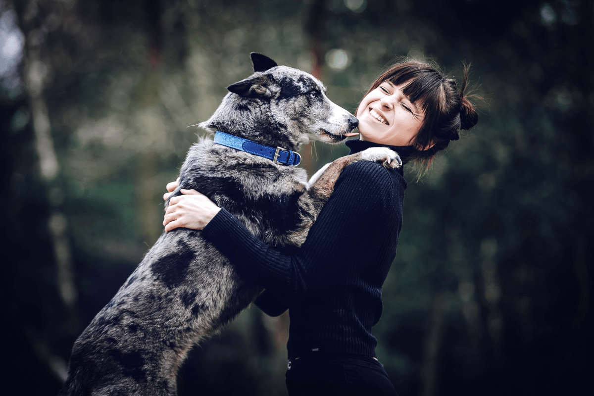 5 ways dogs help us live longer, happier lives